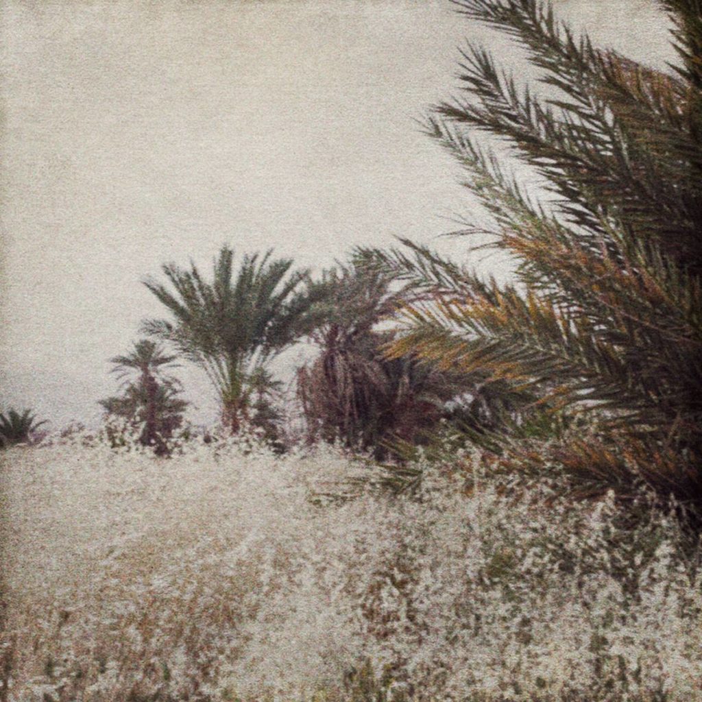Maroc, un temps suspendu - FLORE / Photographe